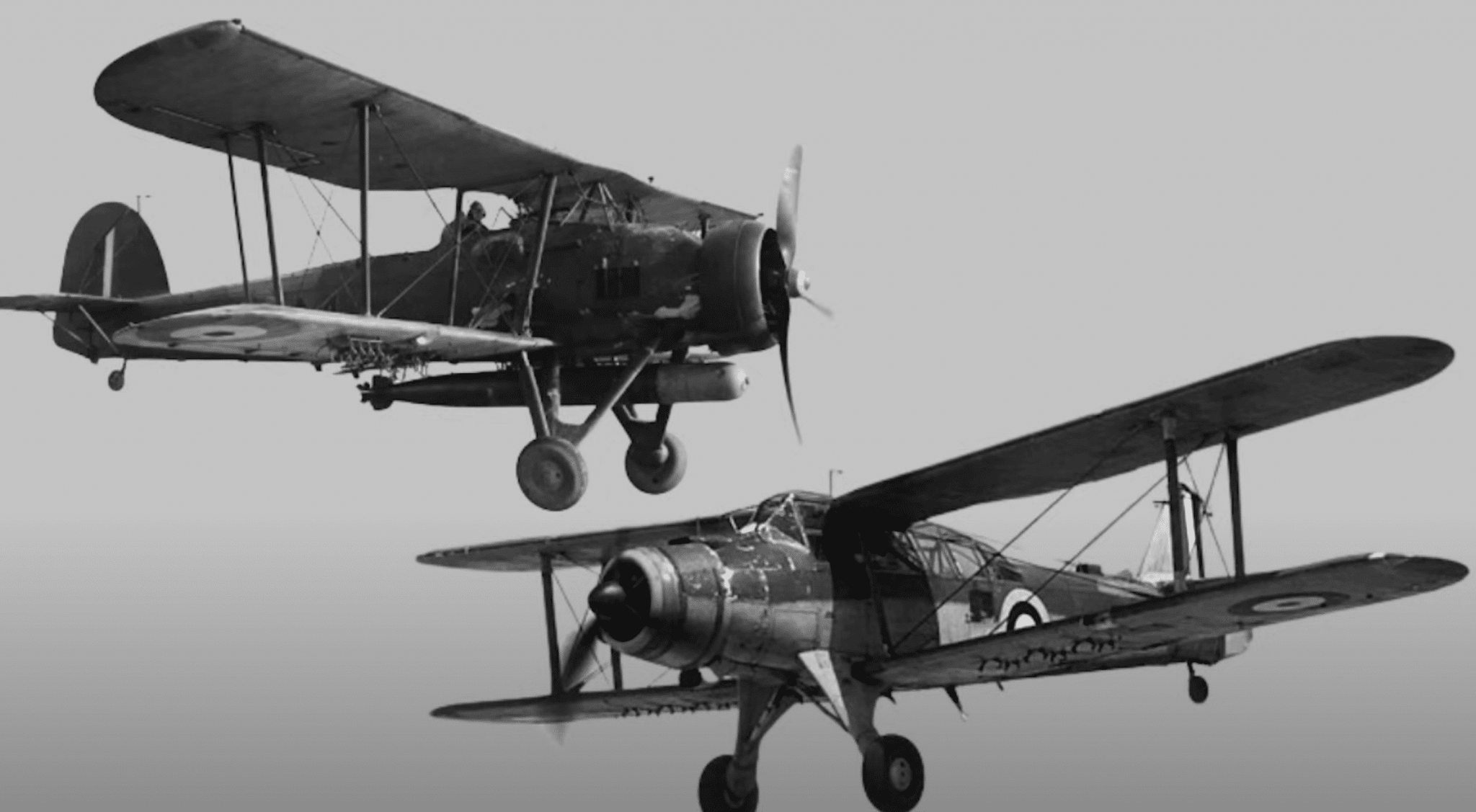 The Plane That Unexpectedly Terrified German Fleets During WWII - World ...