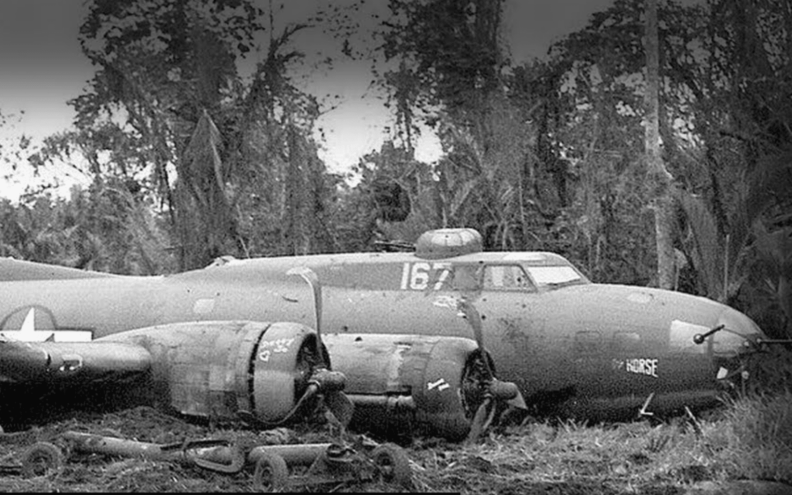 The Story of the Ghost Plane of WWII That Landed Solo - World War Wings