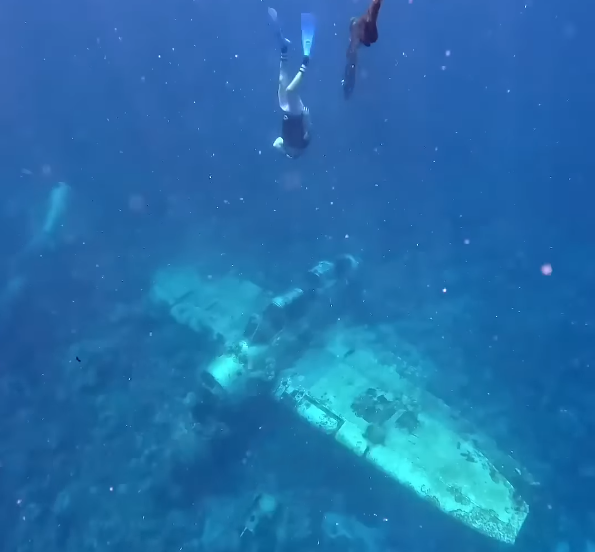 Watch This Diver's Cool Free Dive Into a WW2 Japanese Sunken Plane ...