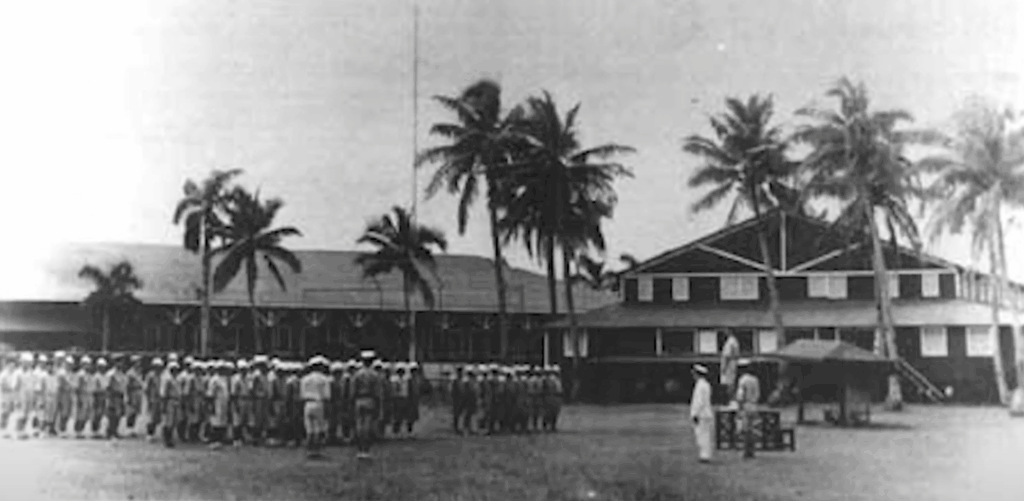Tinian Island WW2 Airfield Brought Back to Life - World War Wings