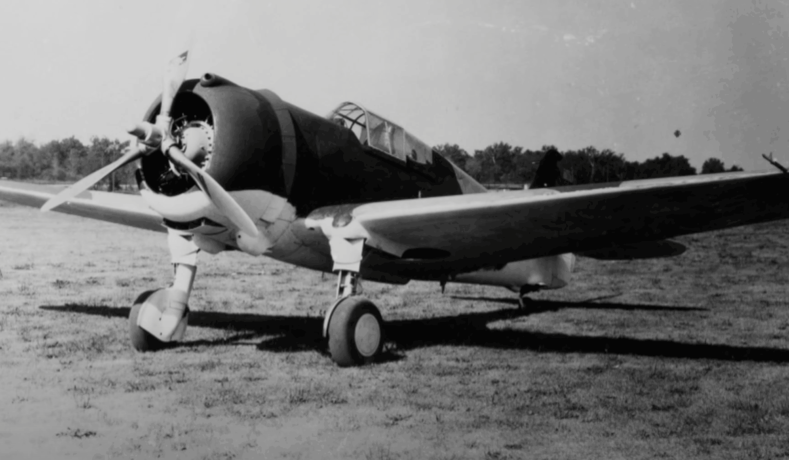 The Story of America's Forgotten WWII 'Hawk' Fighter That Became an Ace ...