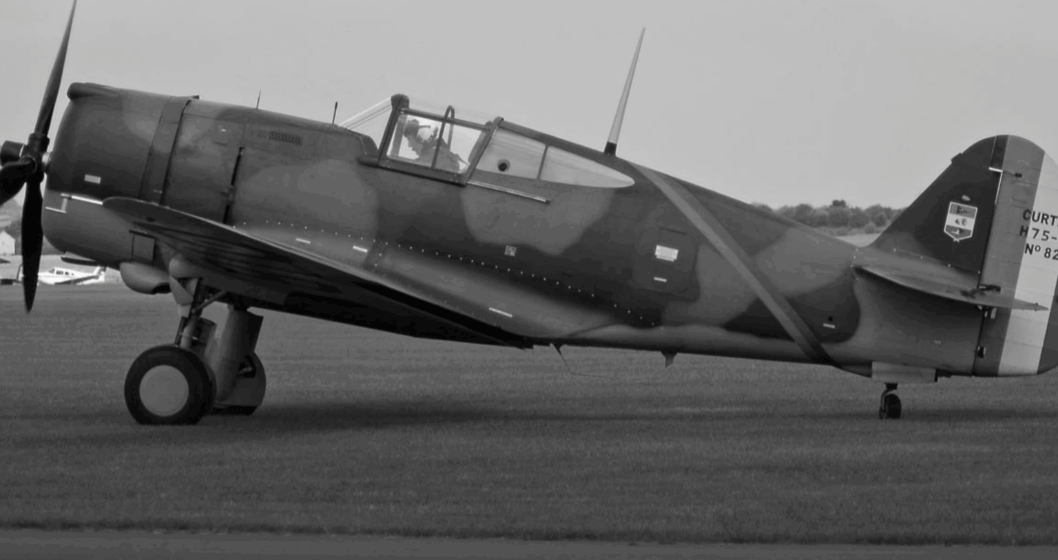 The Story of America's Forgotten WWII 'Hawk' Fighter That Became an Ace ...