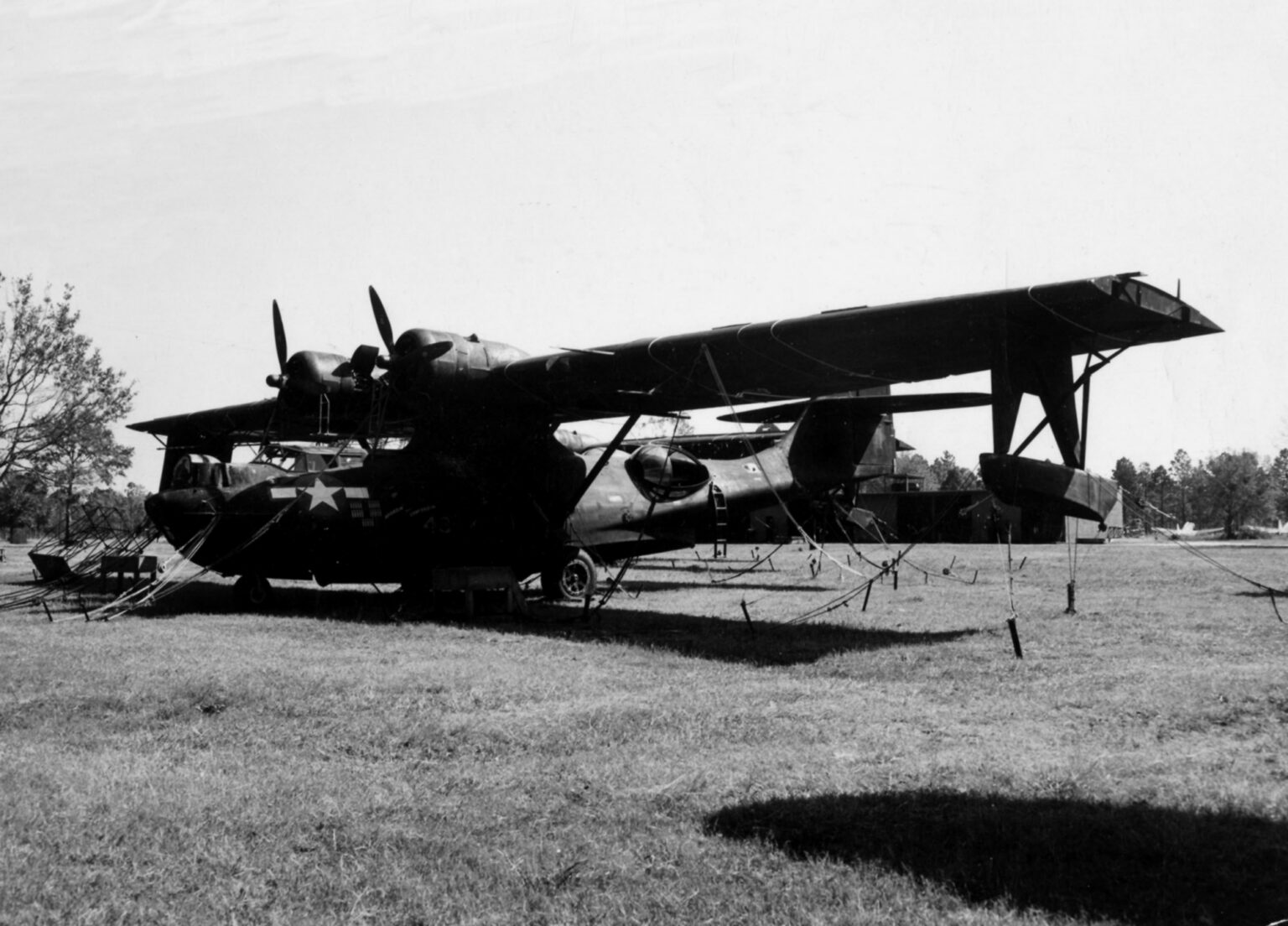 The Story of the Black Cat Squadron Regarded as a Secret Weapon in WWII ...