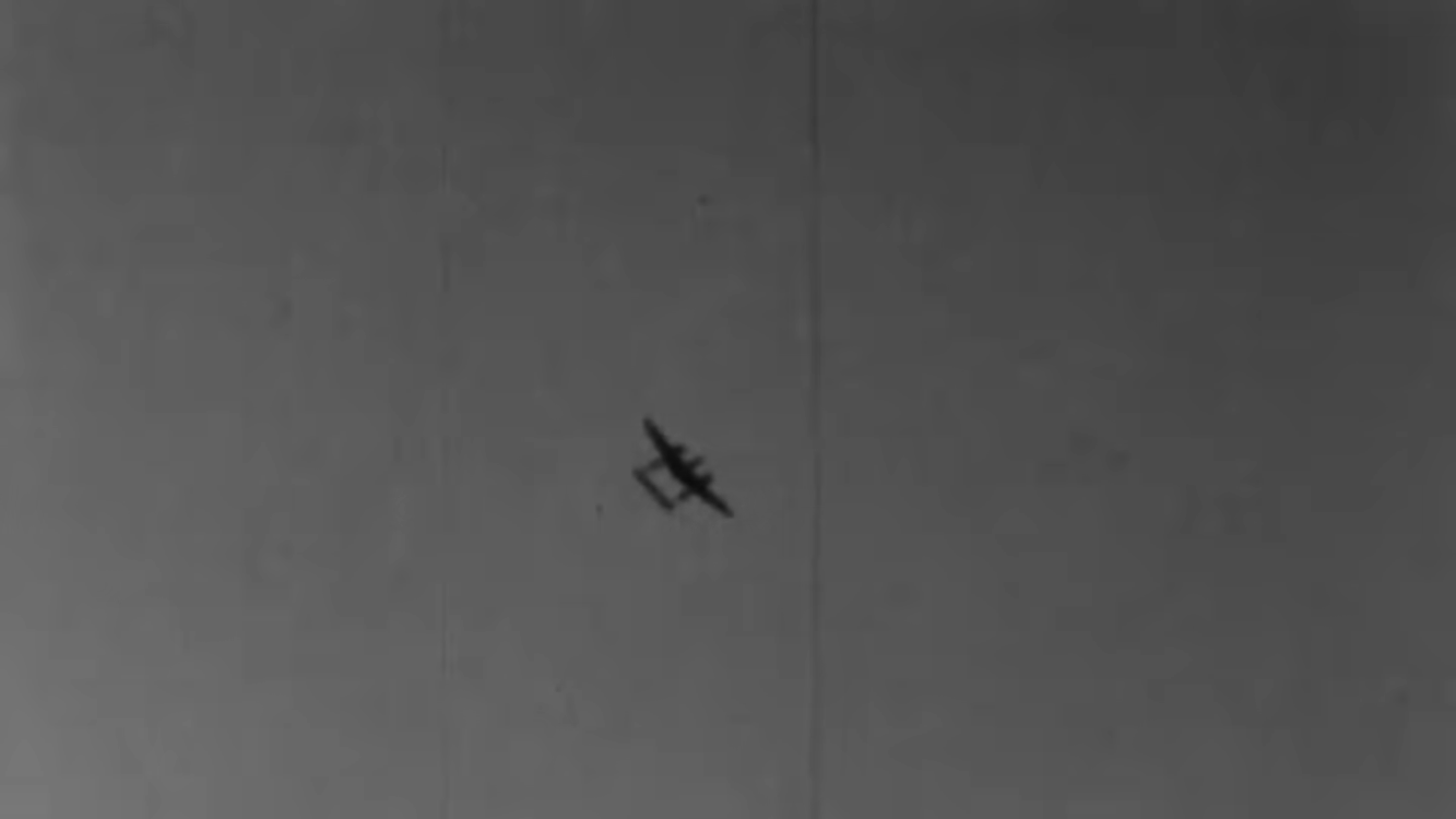 America’s Scariest Flying Killer That No One Was Prepared to Face ...