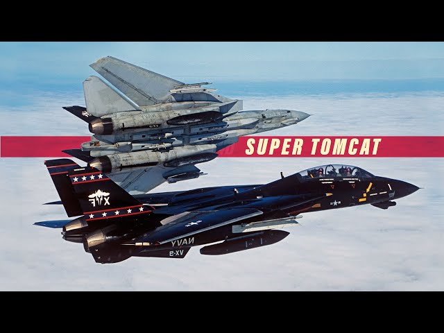 The Lost Potential of the Tomcat - World War Wings