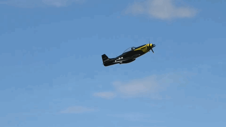 How Close Is the SW-51 Sound to the Real P-51 Mustang - World War Wings
